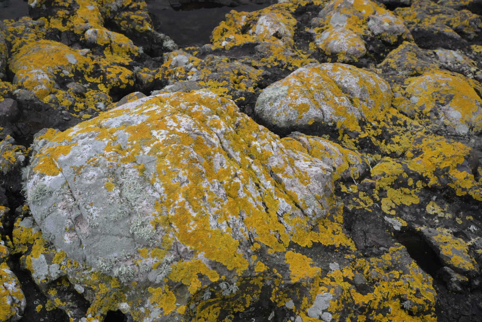 Caledonian mountain prelude: Volcanoes, rivers and big boulders in ...